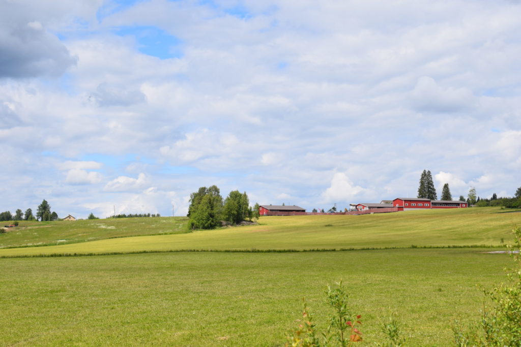 Kaskiin Maisema-alue - Saimaa Geopark